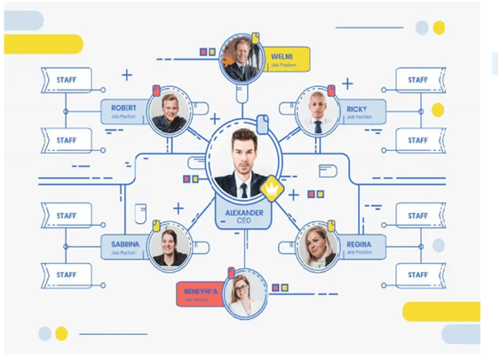 Types of organizational structures in different institutions