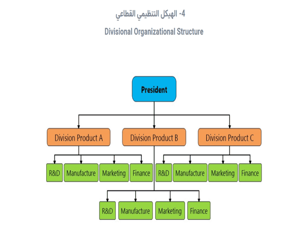 Types of organizational structures in different institutions