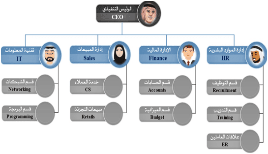Types of organizational structures in different institutions
